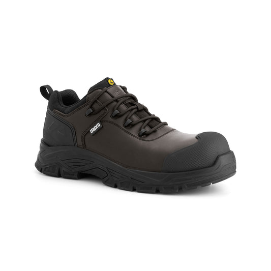 ASTM F2413-18 & F3445-21 Safety Footwear & Work Shoes | Dapro